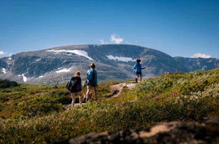 Summer in Geilo | Mountain Activities and Nature Experiences